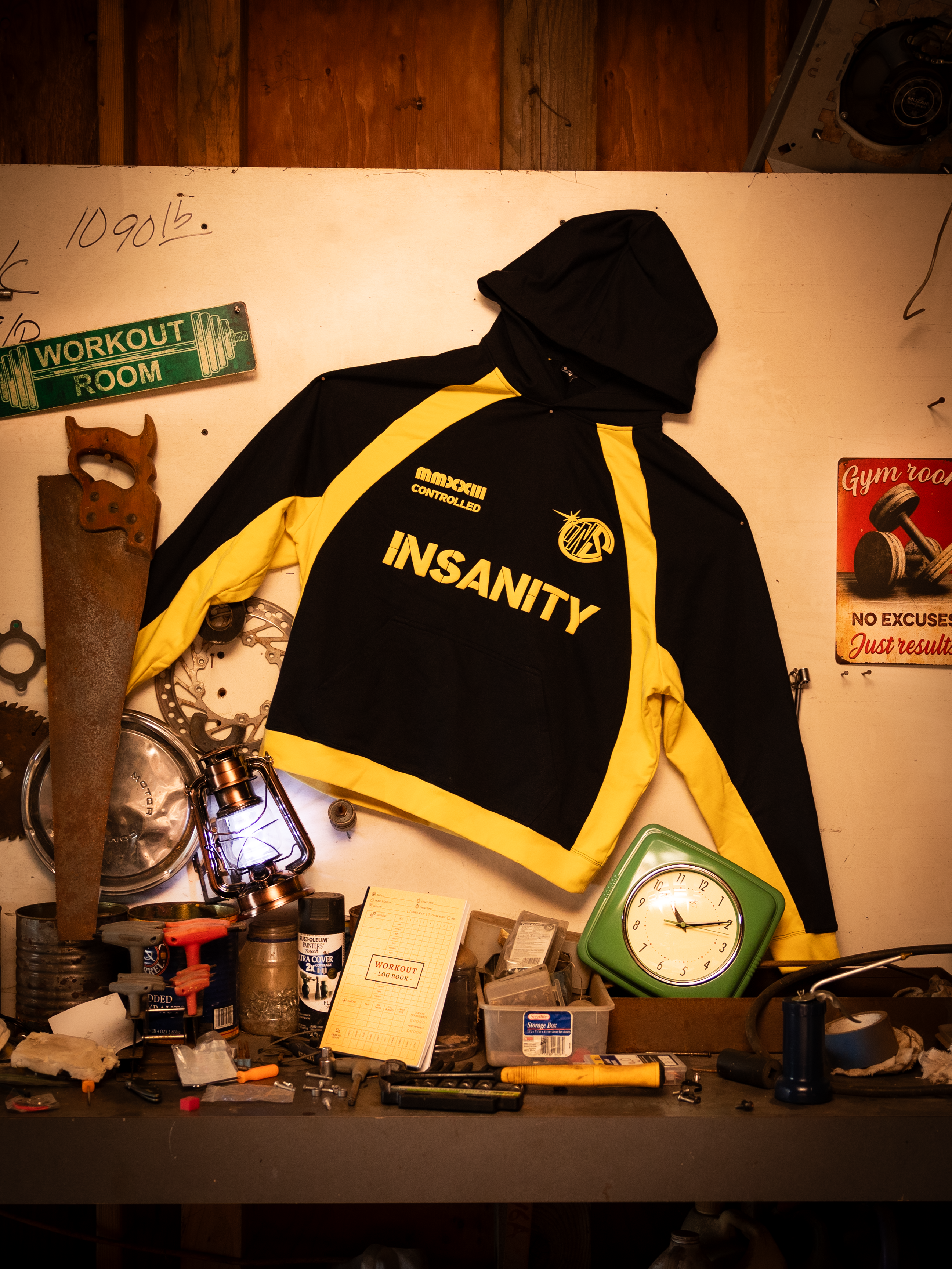 Medallion Pullover Hoodie – Controlled Insanity