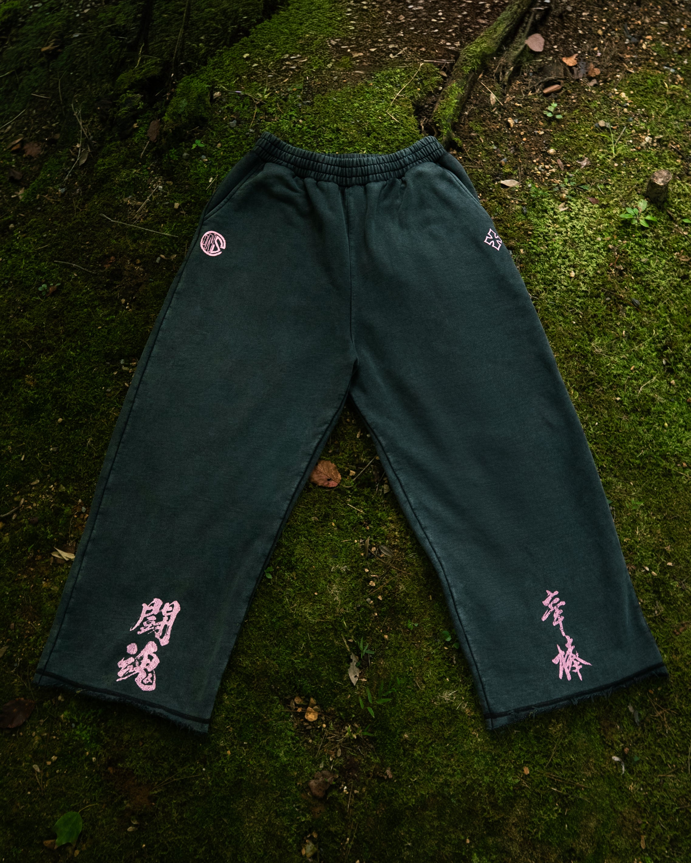 Flame Sweatpants – Controlled Insanity
